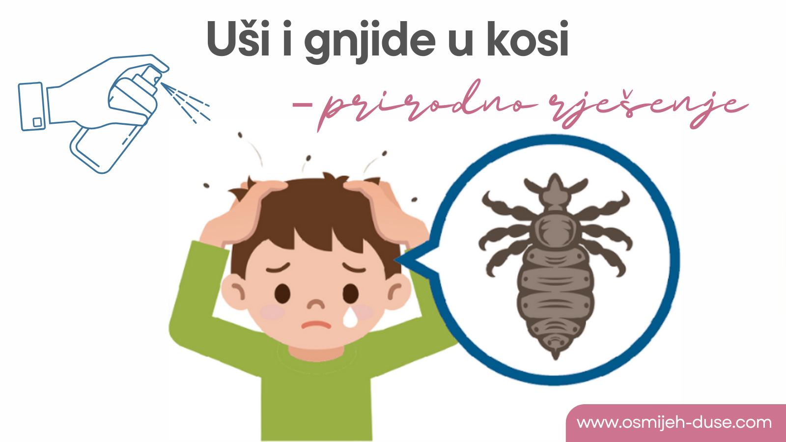UŠI i gnjide u kosi – prirodno rješenje
