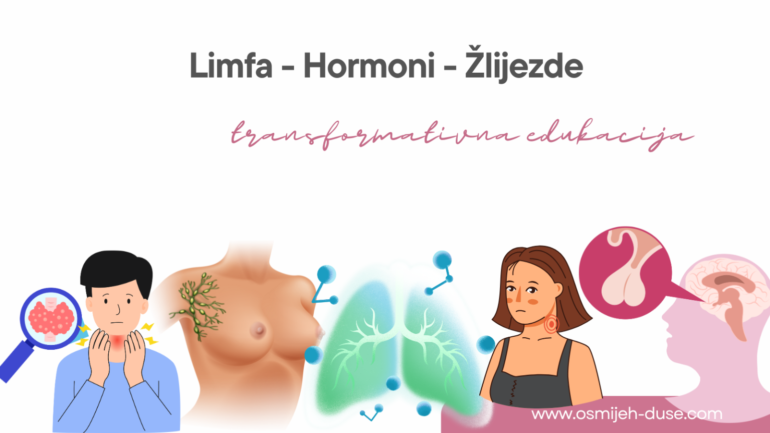 Limfa Hormoni Žlijezde - transformativna edukacija